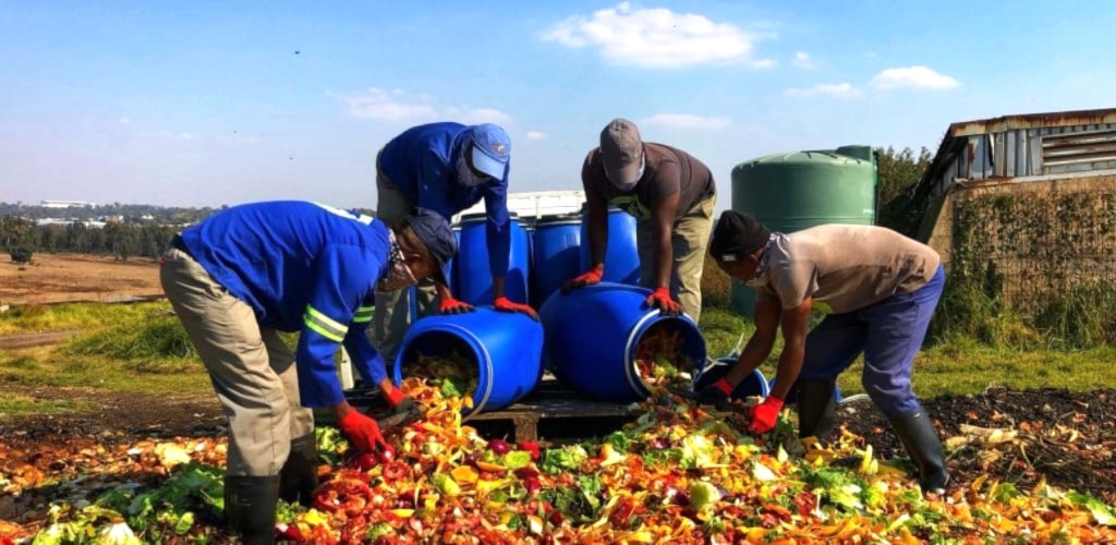 Wiggling Gold | Sustainable Waste Recycling with Black Soldier Fly